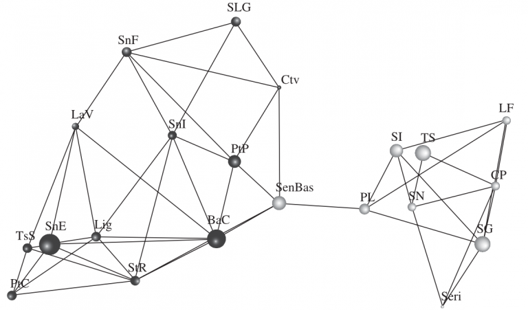 Population Graphs: the graph theoretic shape of genetic structure
